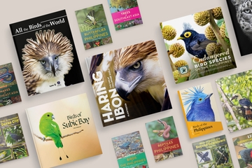 Books – Haring Ibon