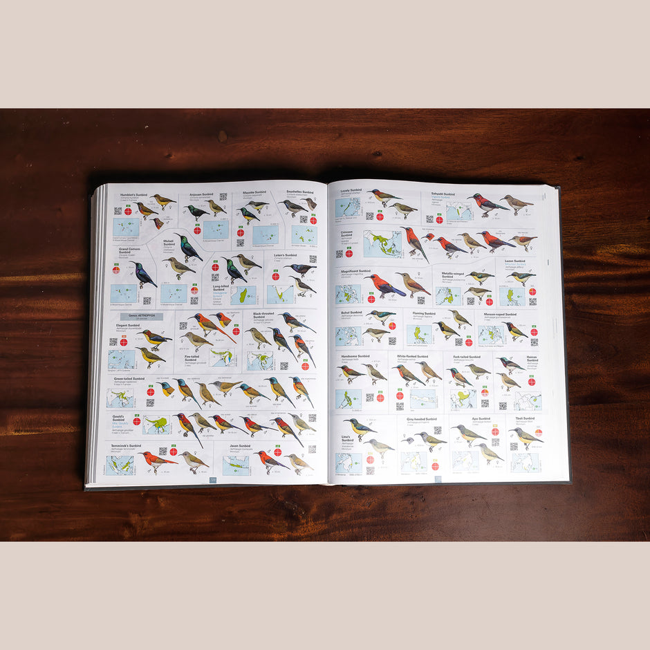 Books – Haring Ibon