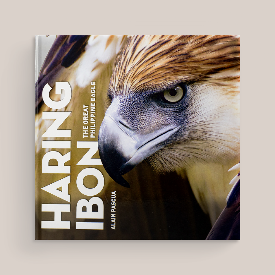 Books – Haring Ibon