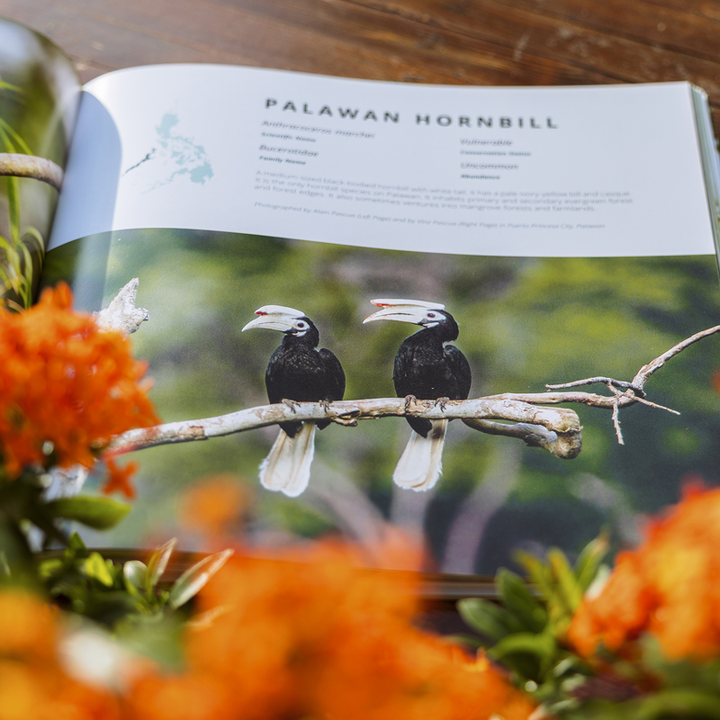 Books – Haring Ibon