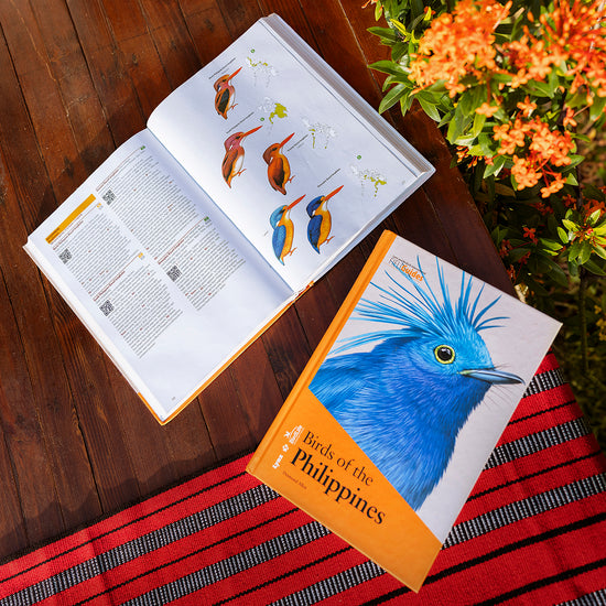 Birds of the Philippines – Haring Ibon