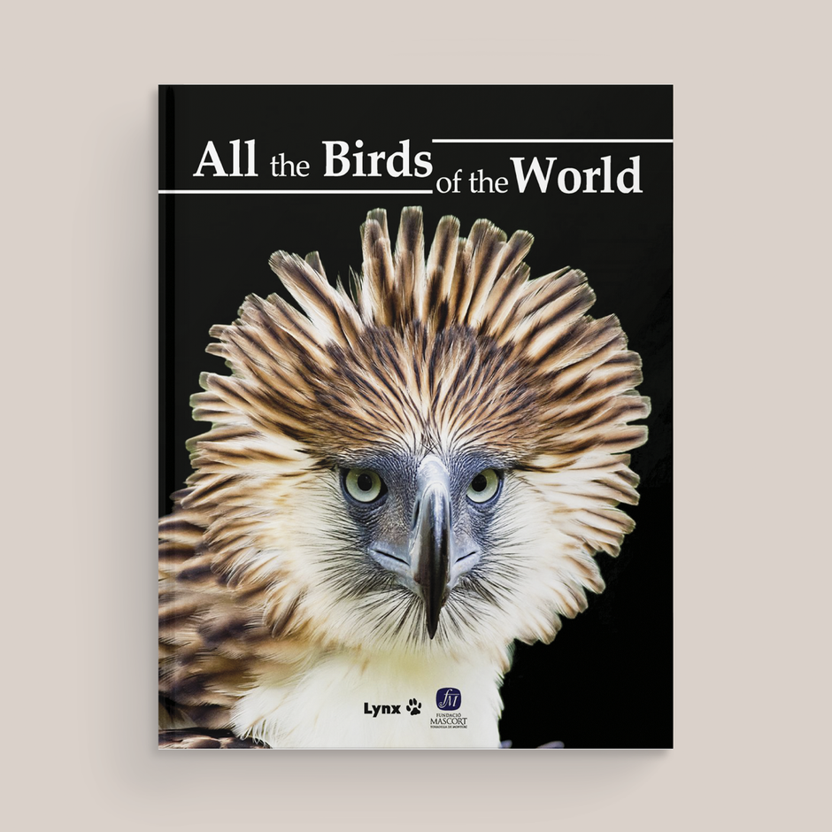 Books – Haring Ibon