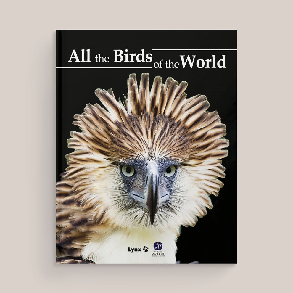 All the Birds of the World – Haring Ibon