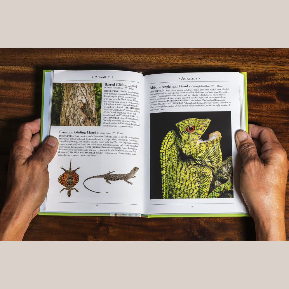 A Naturalist’s Guide to the Lizards of Southeast Asia – Haring Ibon