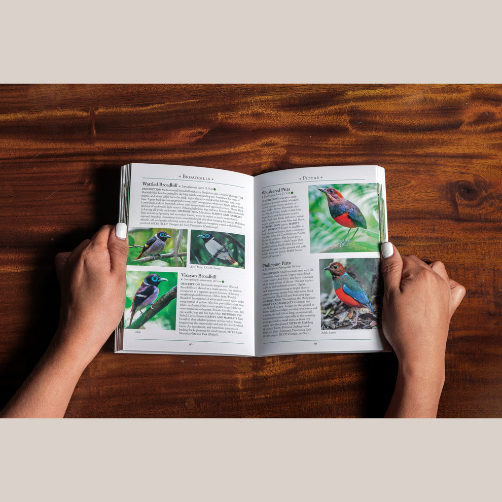 A Naturalist’s Guide to the Birds of the Philippines – Haring Ibon