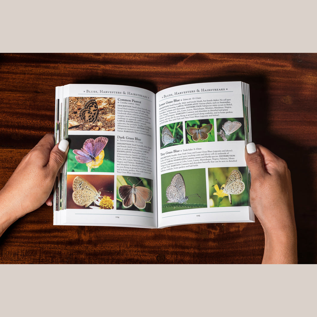 A Naturalist’s Guide to the Butterflies of the Philippines – Haring Ibon